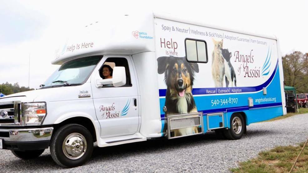 Angels Of Assisi Wants You To Adopt Local This Weekend In Roanoke Wset