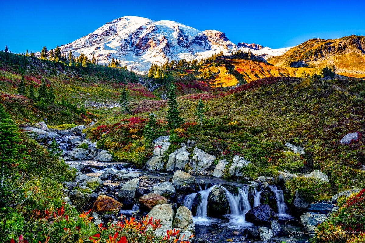 Happy Birthday, Mount Rainier! Iconic mountain's national park turns ...