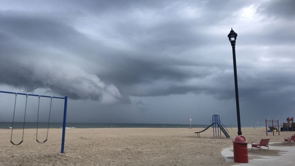 Storm anxiety a real concern for some people and pets, here are some ...