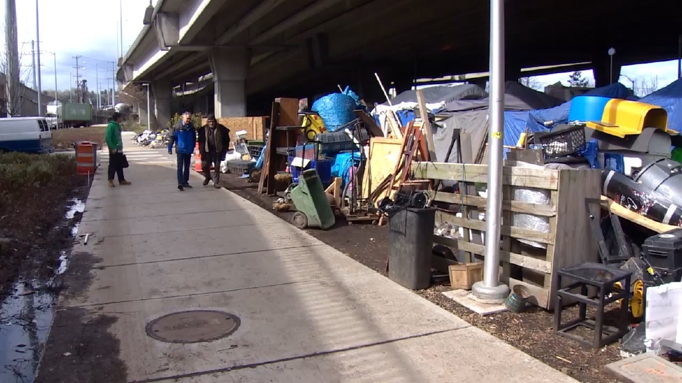 City plans sweep of homeless camp under Spokane Street viaduct | KOMO