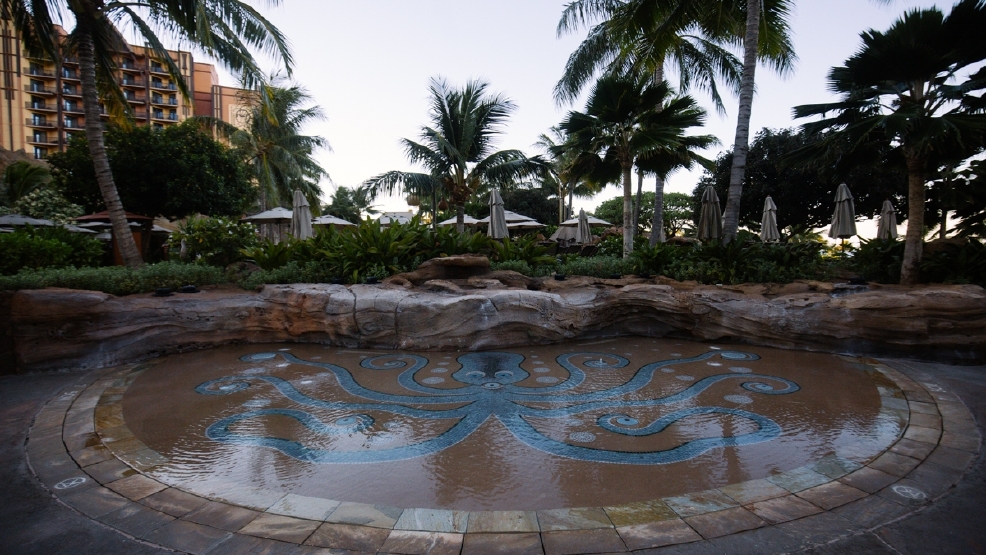 Photos: All of the pools at Disney Aulani Spa & Resort in Hawaii ...