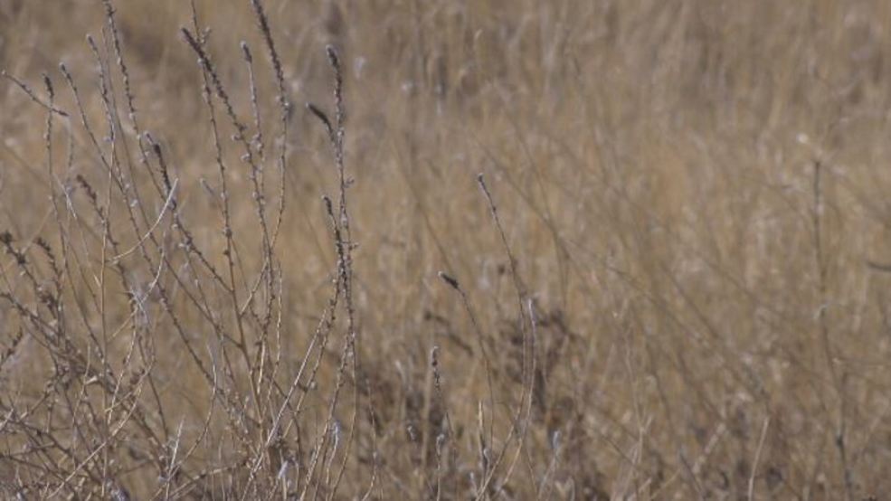 Dry weather conditions worsening | KVII