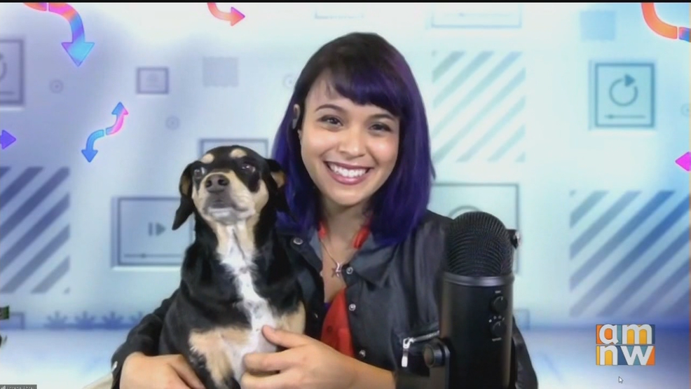 TBD's New Show "The Link" | KATU