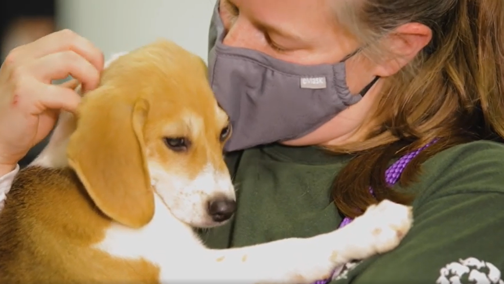 Montgomery County SPCA rescues nine dogs from Korean meat trade | WRGB