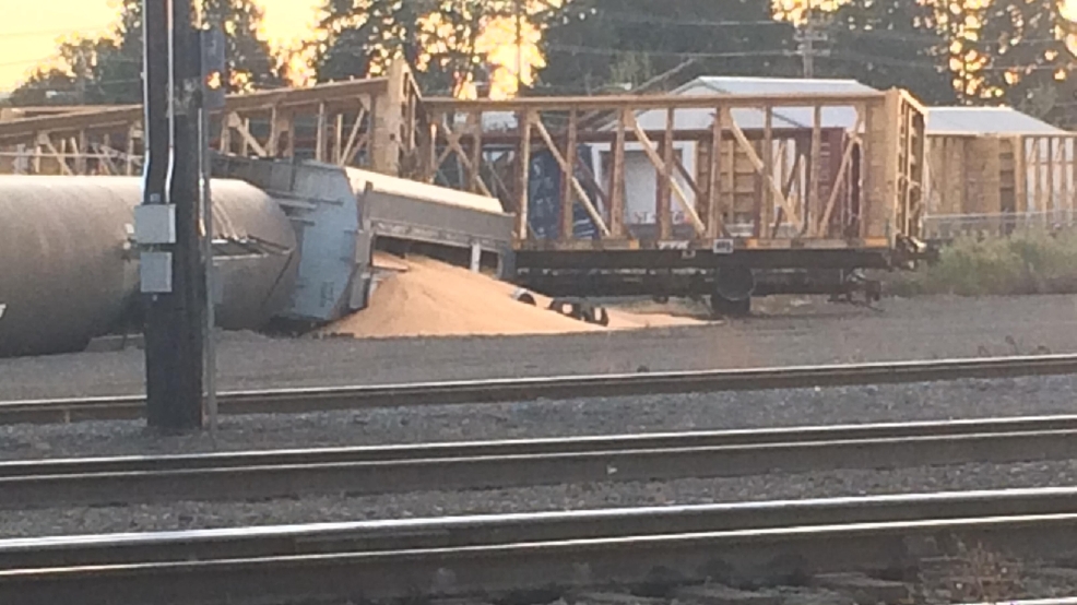 Union Pacific train derails in Eugene yard | KVAL